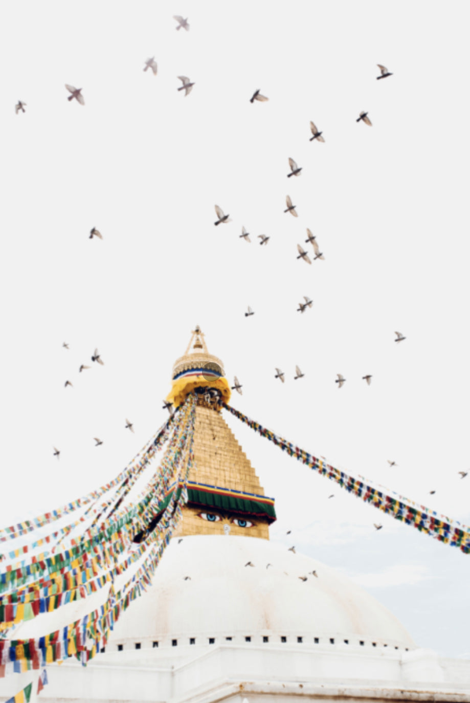 Photo Prints – Emory Hall